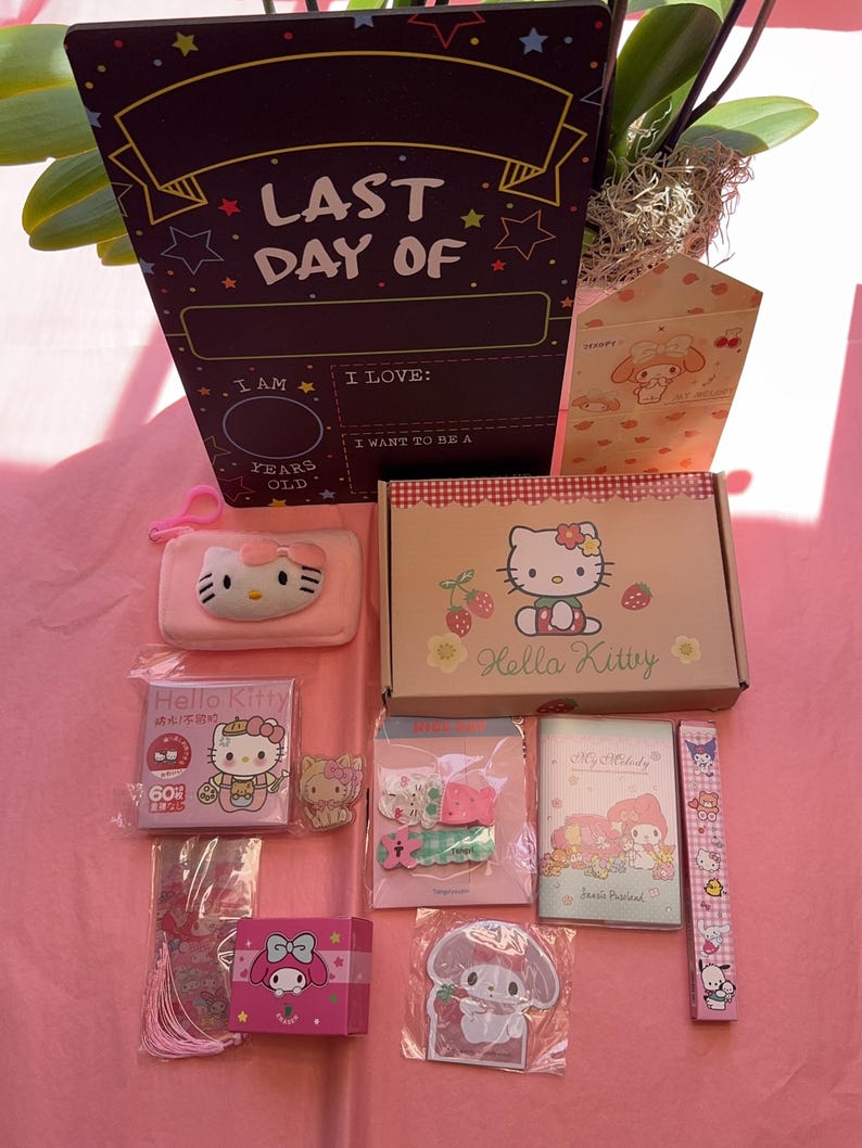 Mini Gift Box | Kawaii Plushies & Accessories (12+ Items) - Etsy