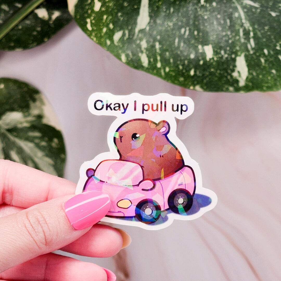 Holographic Cute Capybara Car Vinyl Sticker | Waterproof Sticker for ...