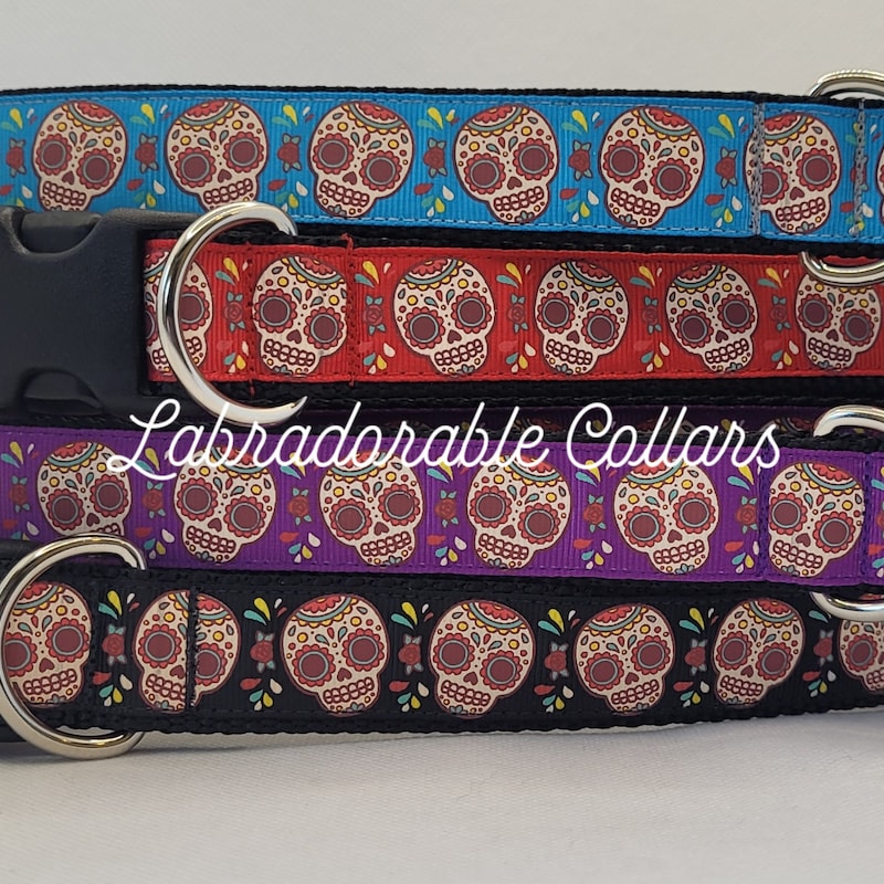 Perro calavera - Etsy México