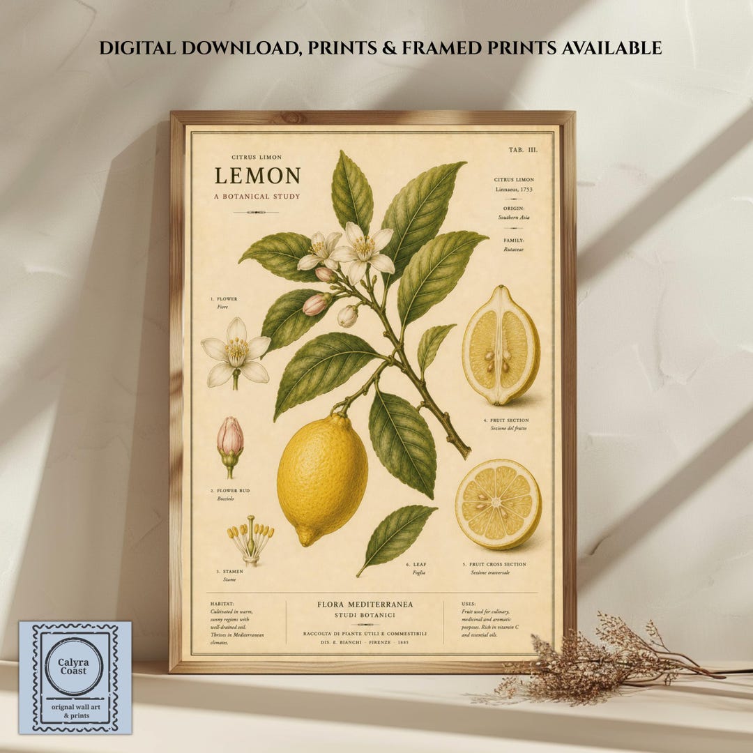 Vintage Lemon Botanical Wall Art Print | Antique Citrus Kitchen Decor ...