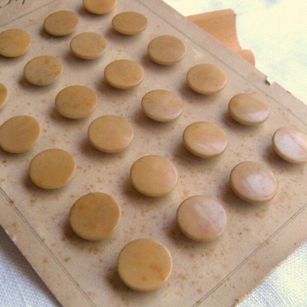 Antique Vegetable Ivory Buttons - Etsy