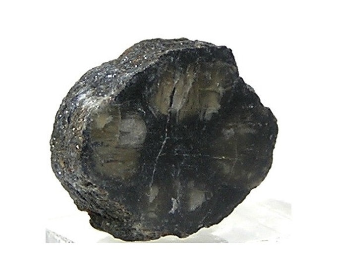 Andalusite Chiastolite Crusader Cross Stone Crystal Polished Talisman ...