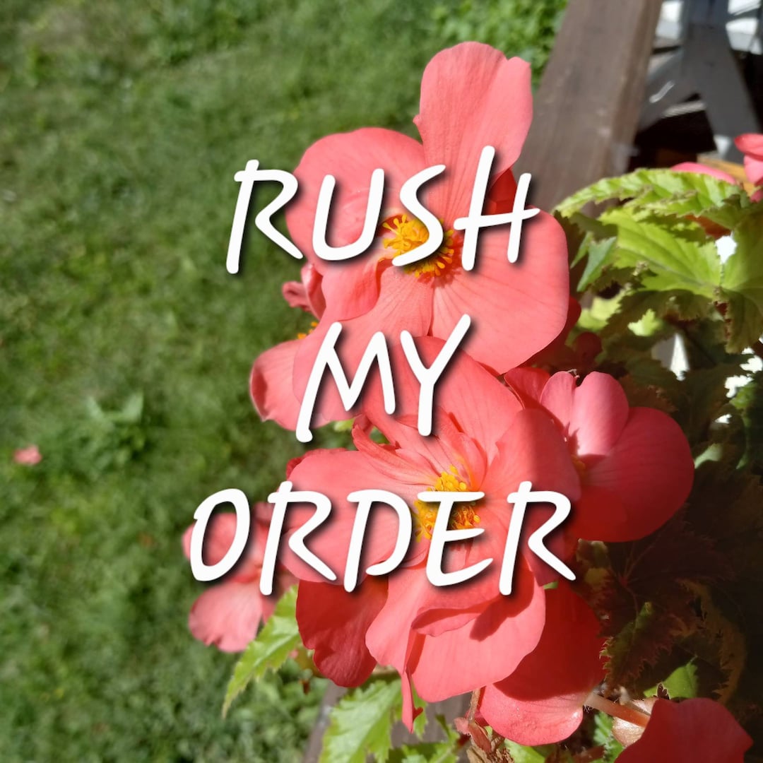 Rush Production Fee - Etsy