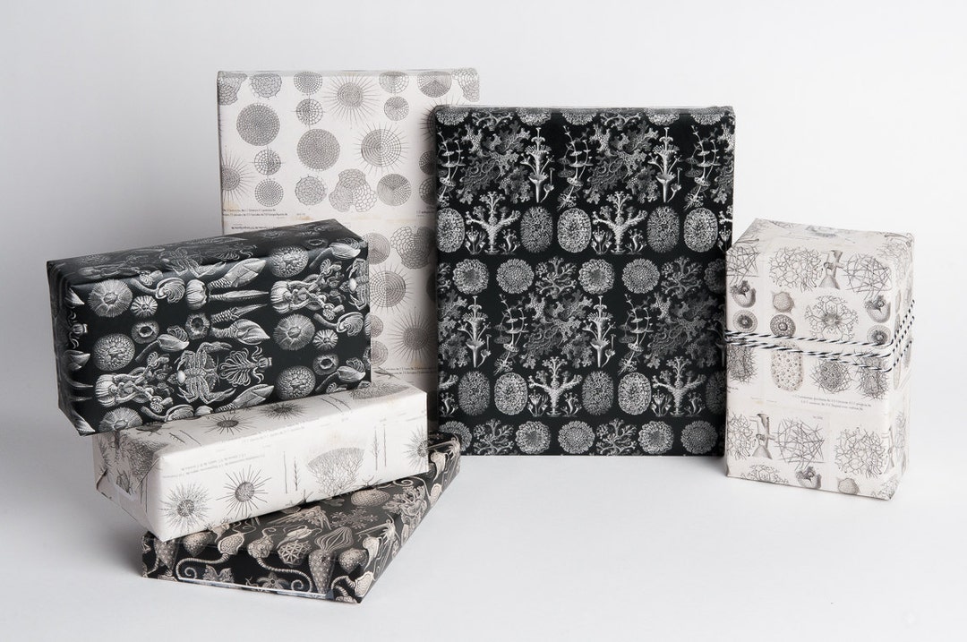 Sea Life Study Illustration Wrapping Paper / Monochromatic - Etsy