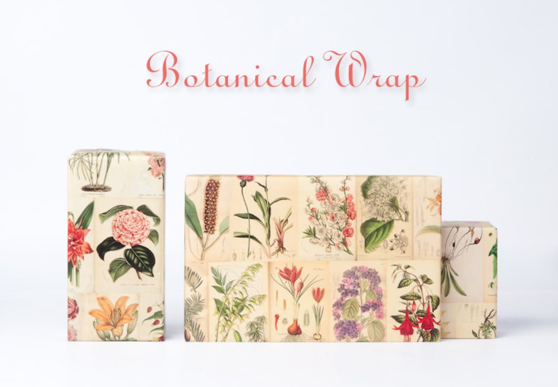 Botanical Wrapping Paper / 12 Sheets - Etsy