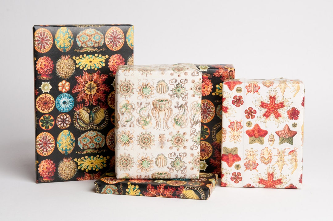 Sea Life Color Gift Wrap - Etsy