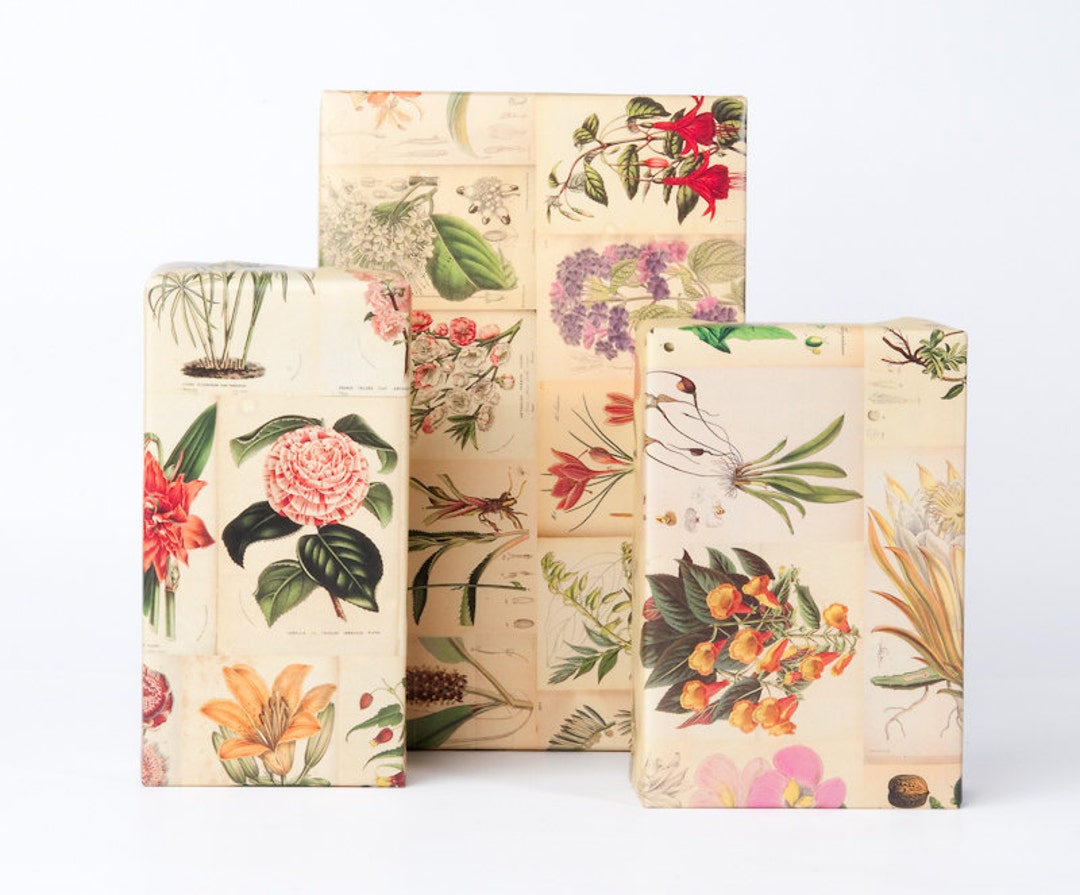 Botanical Wrapping Paper / 12 Sheets - Etsy