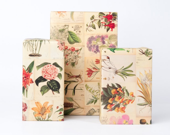 Botanical Wrapping Paper / 12 Sheets - Etsy