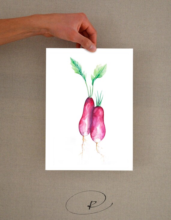 Radish print radish art radish watercolor radish kitchen | Etsy