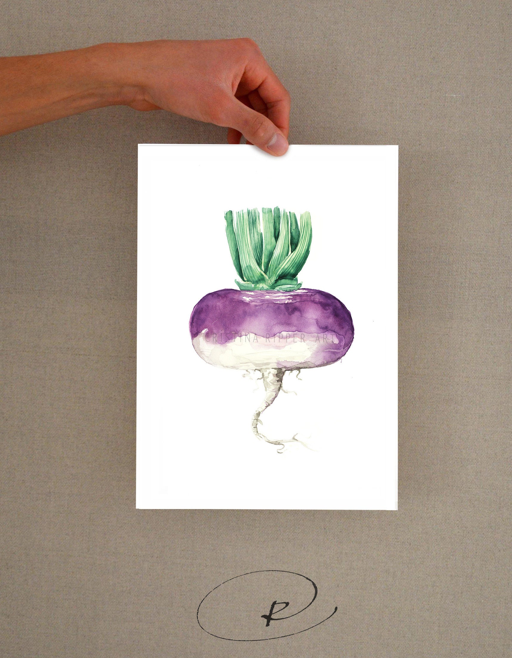 Turnip Drawing