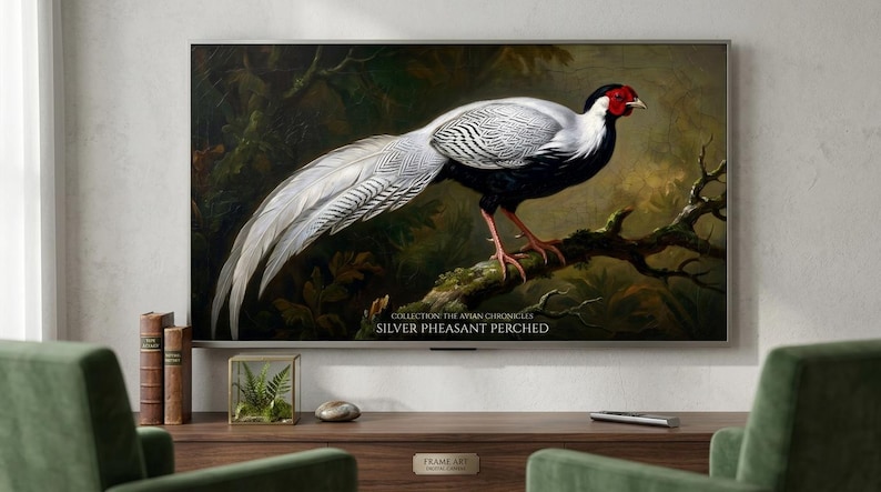 Silver Pheasant Bird Samsung Frame TV Art | 4K Antique Ornithology ...