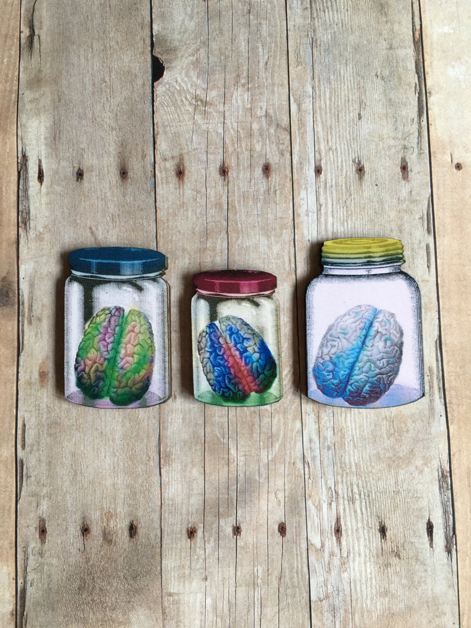 Brain in Jar Pin Brains Brooch Oddity Jewelry Curiosities Weird Science ...