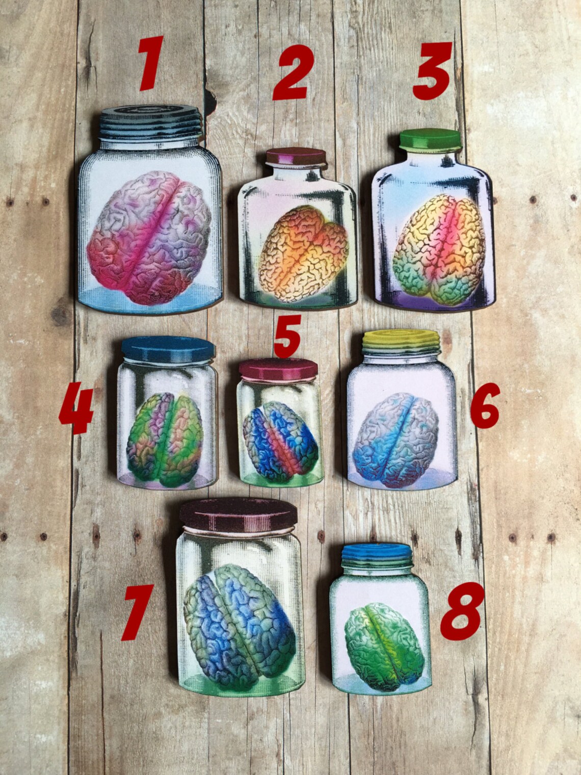 Brain in Jar Pin Brains Brooch Oddity Jewelry Curiosities - Etsy