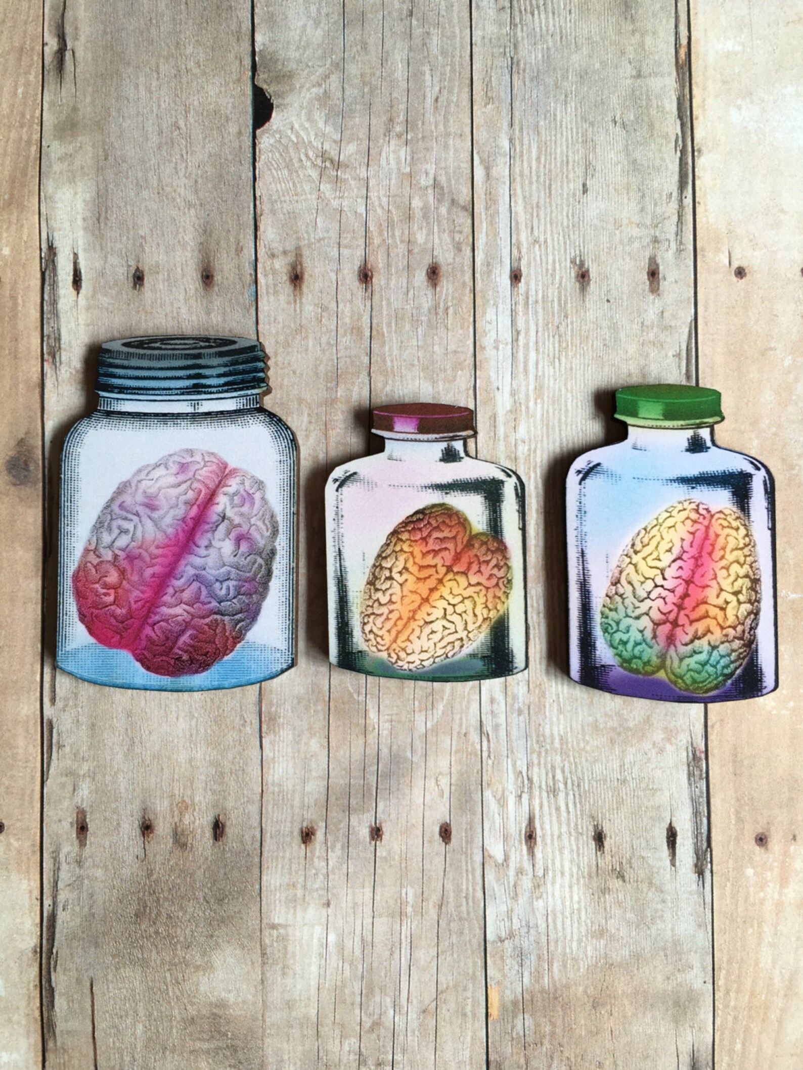 Brain in Jar Pin Brains Brooch Oddity Jewelry Curiosities - Etsy