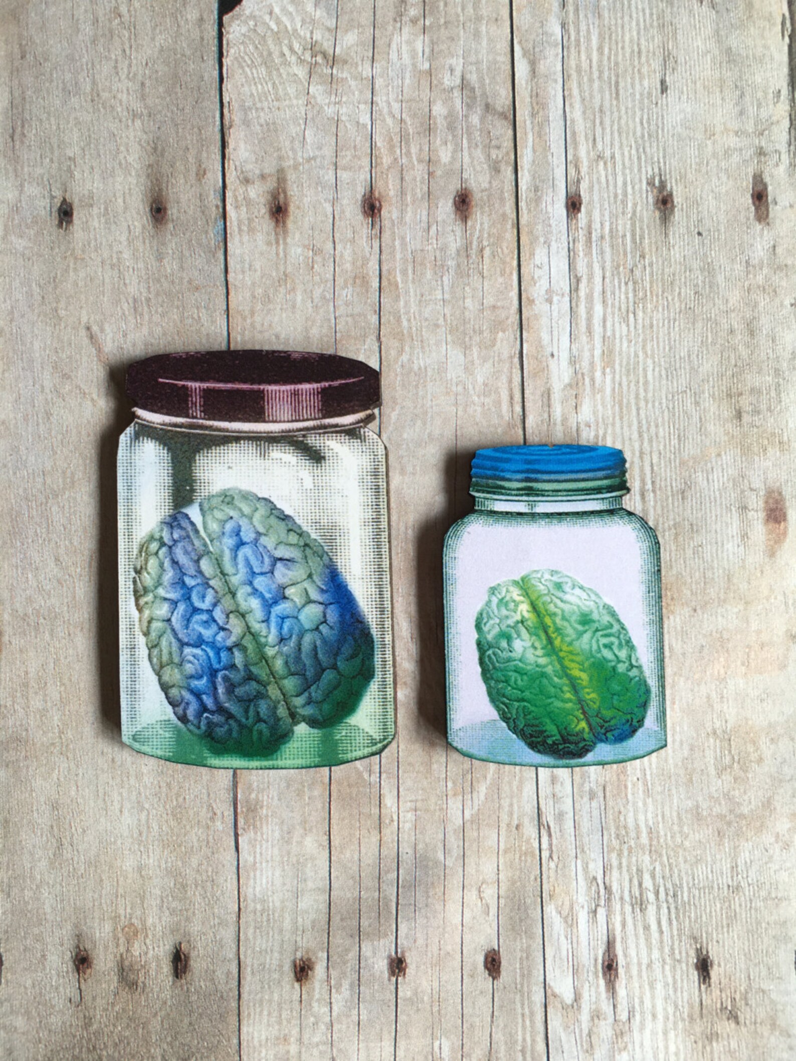 Brain in Jar Pin Brains Brooch Oddity Jewelry Curiosities - Etsy
