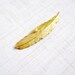 Feather Brooch Pin - Etsy