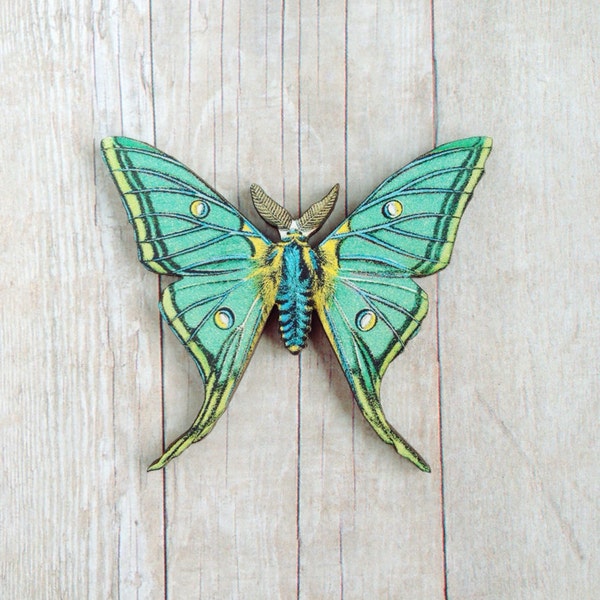 Luna Moth Pin - Etsy