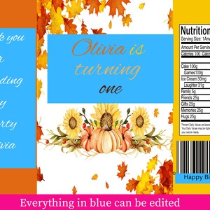 Fall Chip Bag, Pumpkin Chip Bag, Party Favors, One Chip Bag, Snack ...