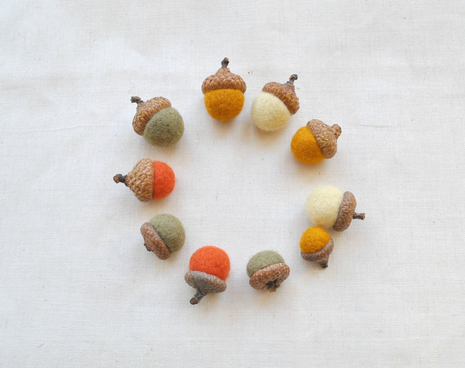 Wool Acorns Thanksgiving Decor Felted Set of 10 Acorns Real - Etsy