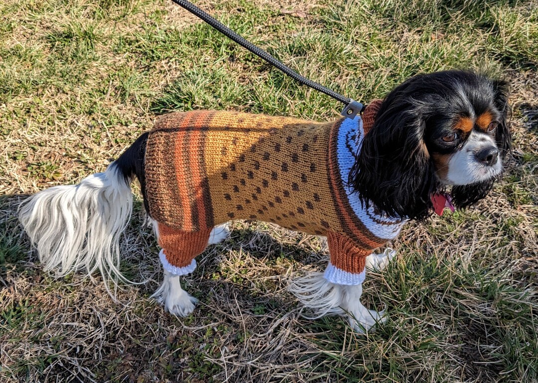 Stylin' Rescue Pup Sweater Knit Pattern - Etsy