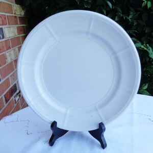 Jacob Furnival, Ironstone Dinner Plate, Paneled Grape, Antique, English ...