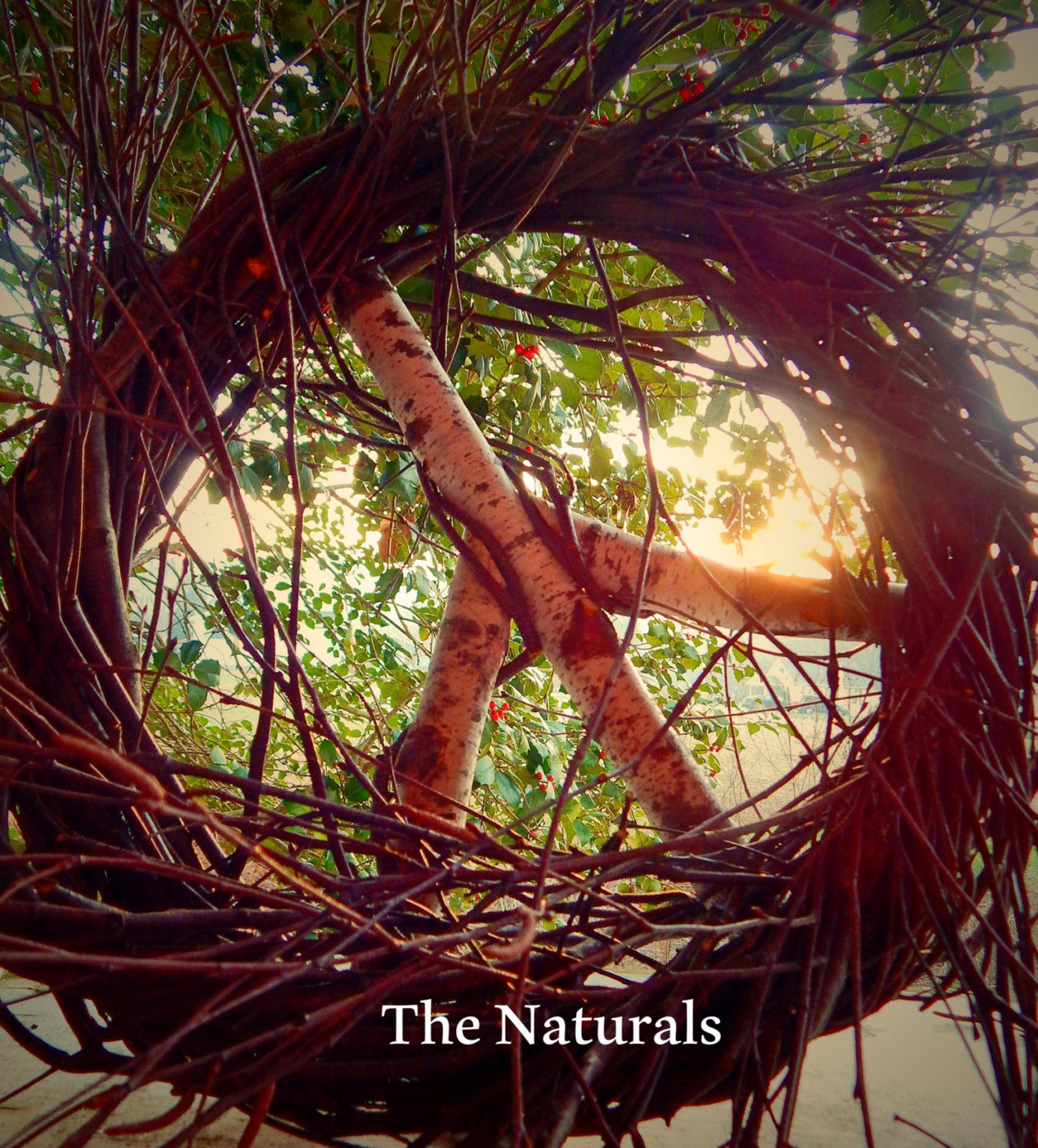 Wild Birch Twig PEACE SIGN WREATH - Etsy