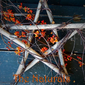 Primitive Birch 5 Point Star Wreath 15" Wall Art or Door Decor Organic ...