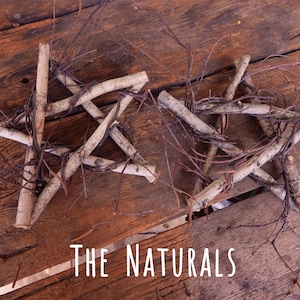 Small Birch Star Wreath 10" Made to Order - Etsy