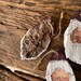 Hand Painted Santa Claus Bark Ornaments Folk Art - Etsy