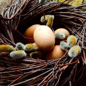 Birch Twig Easter Basket - Etsy