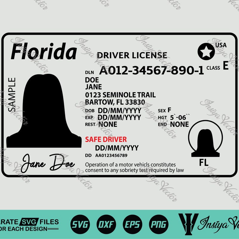 Fake Driver License Template - Etsy