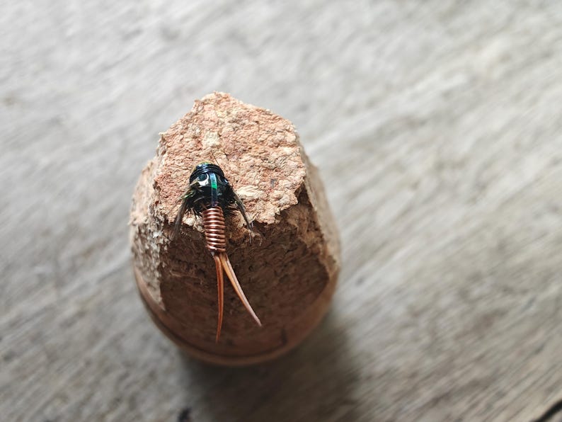 BH Copper John Nymph Fly-fishing Fly - Barbed - Size 14 - 1 Dozen ...