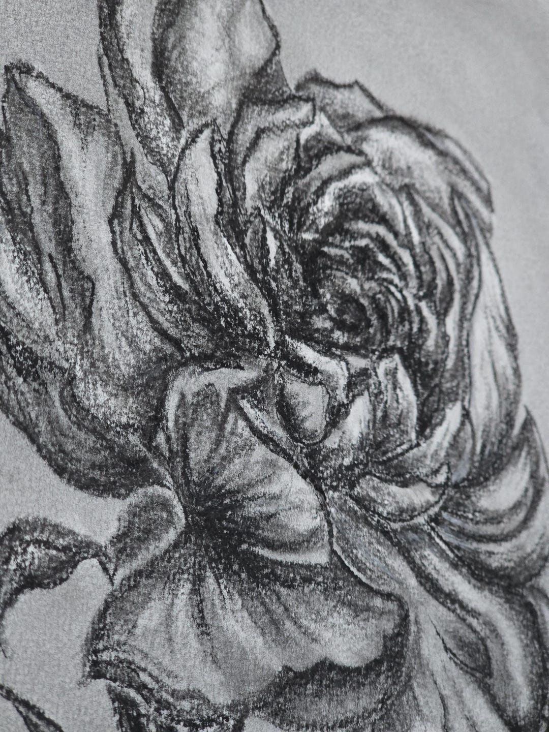 Original Peony Charcoal Drawing A4 – Hand-drawn Floral Art on White ...