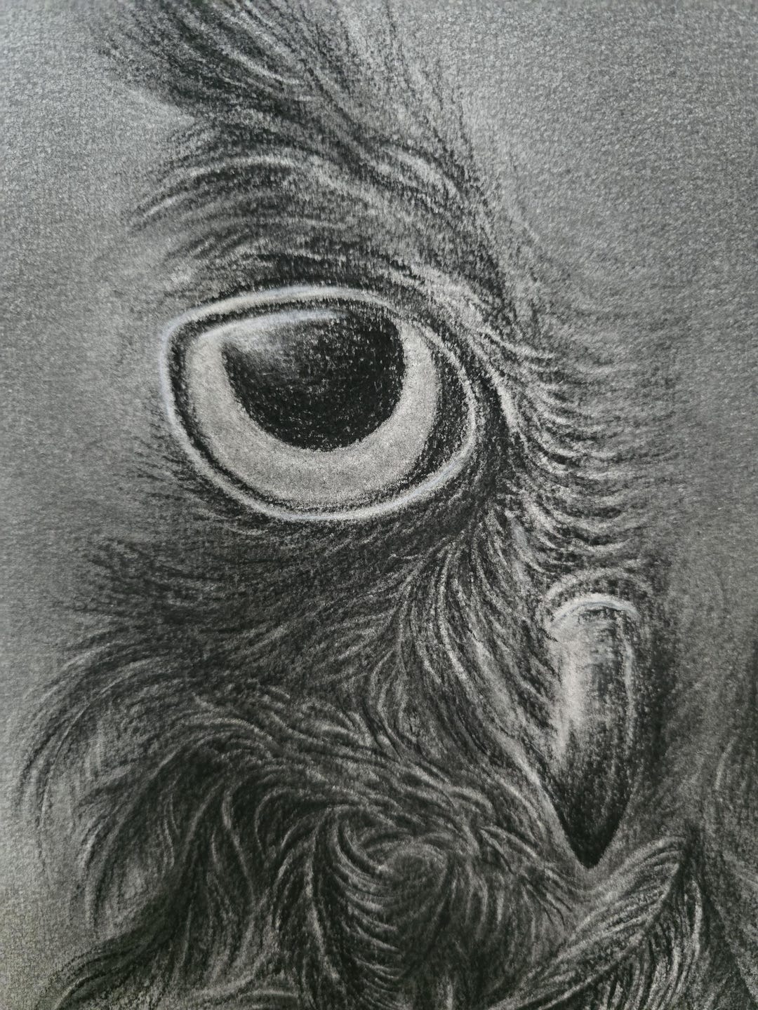 Original Owl Charcoal Drawing A4 – Hand-drawn Animal Art on Grey Paper ...