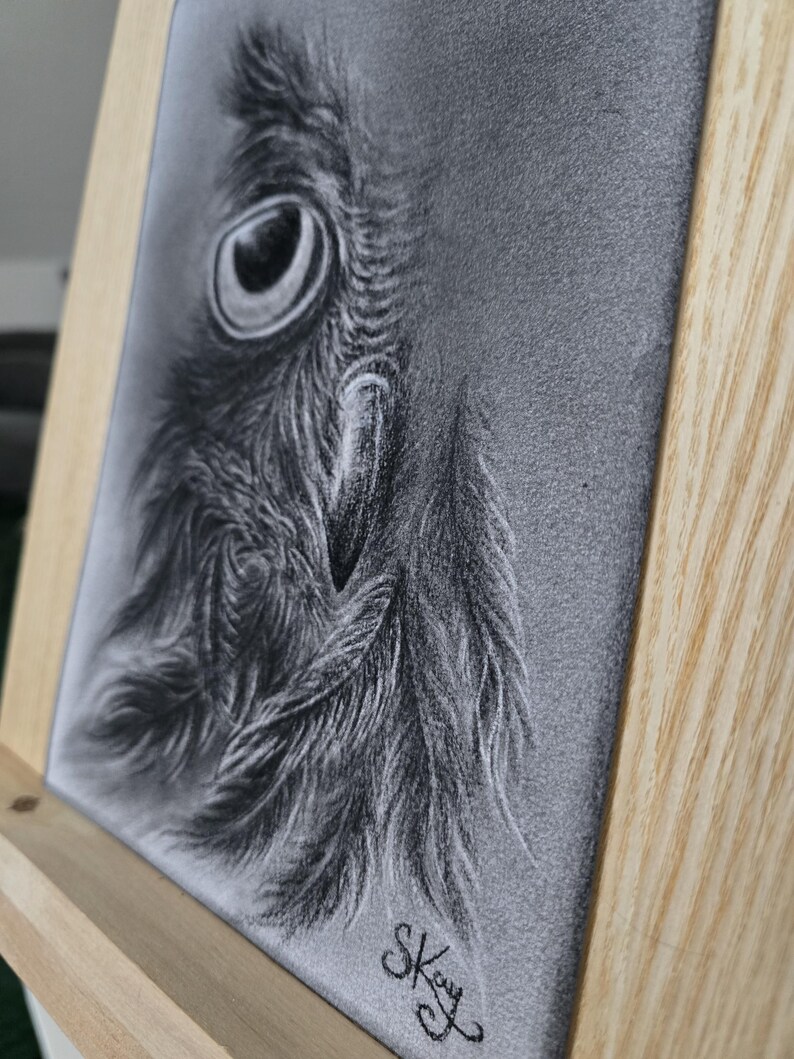 Original Owl Charcoal Drawing A4 – Hand-drawn Animal Art on Grey Paper ...