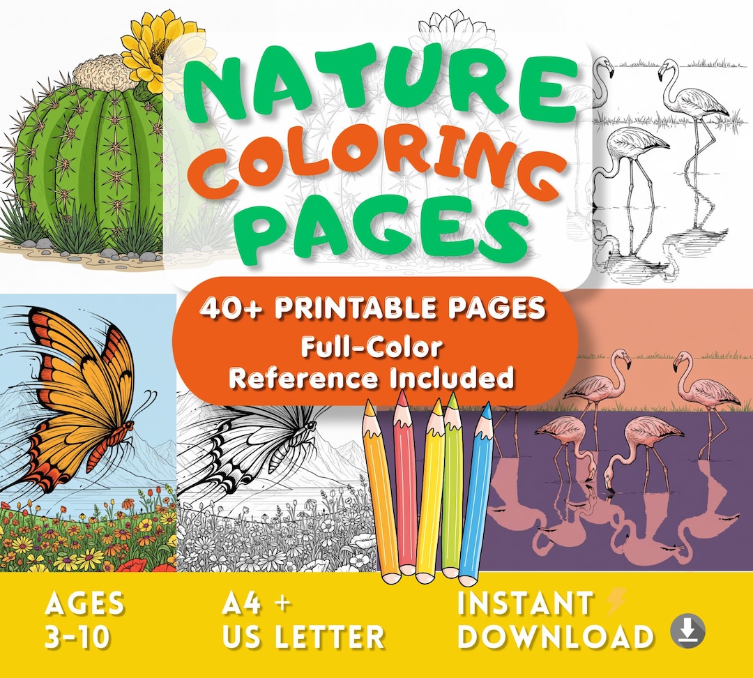 Nature Coloring Pages | Birds, Flowers, Butterflies (digital Download ...