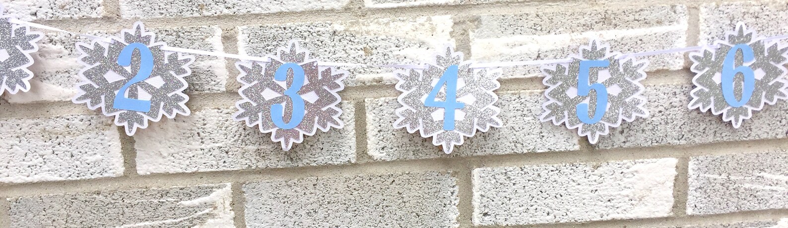Snowflake Monthly Photo Banner Snowflake Photo Banner First | Etsy
