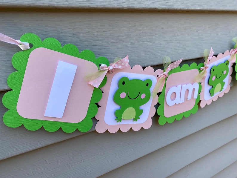 Girly Pink and Green Frog Highchair Banner Frog I Am 1 - Etsy