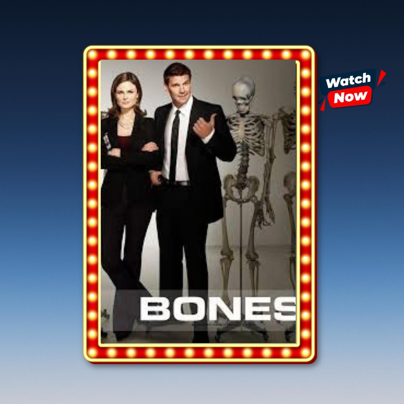 Bones (2005–2017) – Complete Series – Digital Version – 1080p HD ...