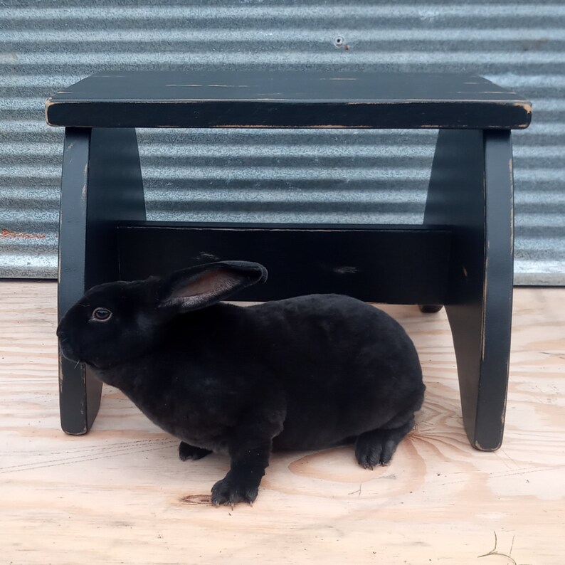 Large Step Stool Farmhouse Decor Footstool Primitive Folk Art - Etsy