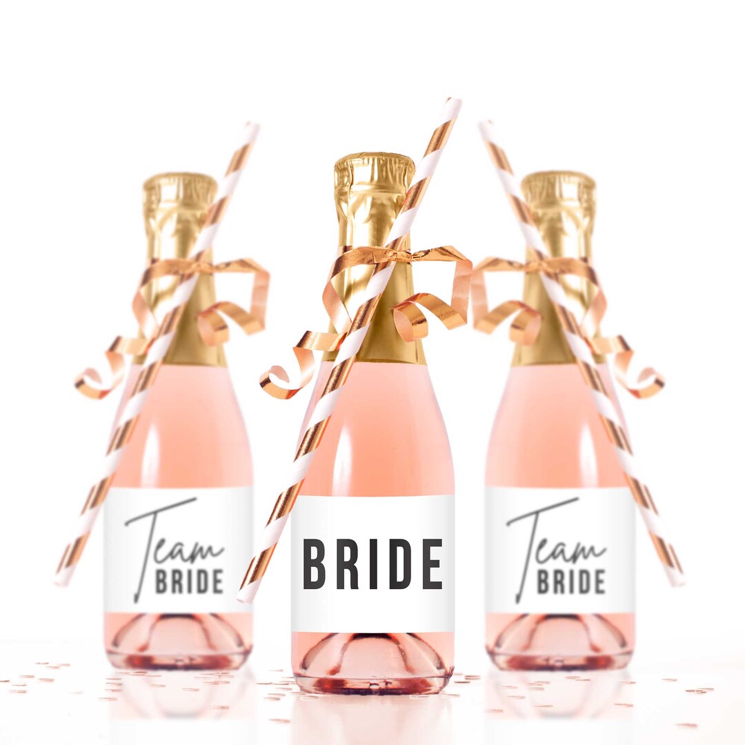 Team Bride Sticker Bachelorette Party Favors Team Bride Labels for Mini ...