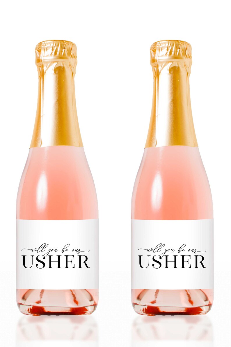 Will You Be Our Usher and Will You Marry Us Printed Labels | Etsy