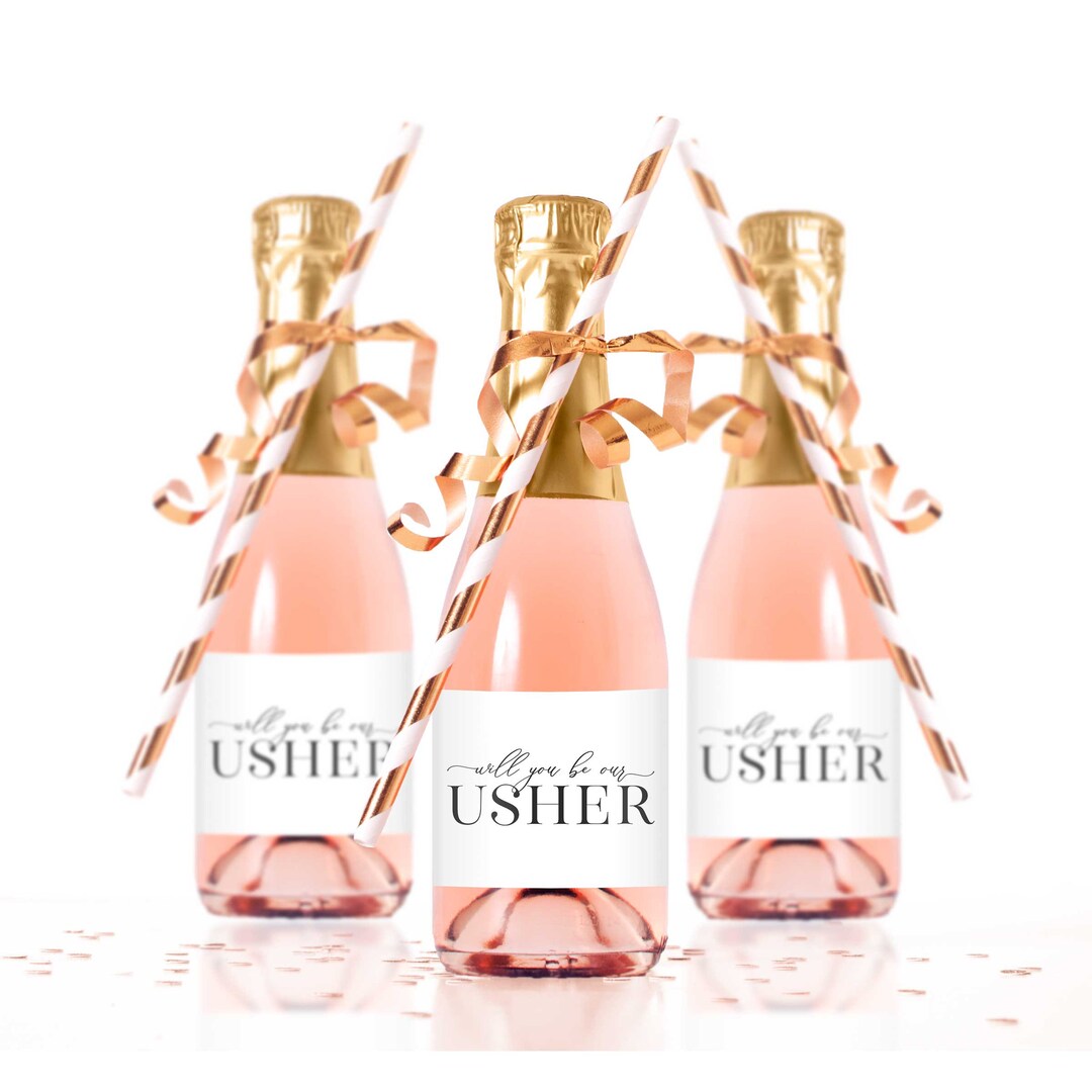 Will You Be Our Usher and Will You Marry Us Printed Labels Mini ...