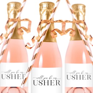Will You Be Our Usher and Will You Marry Us Printed Labels Mini ...
