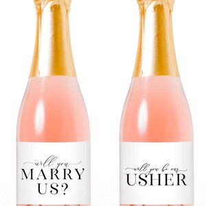 Will You Be Our Usher and Will You Marry Us Printed Labels Mini ...