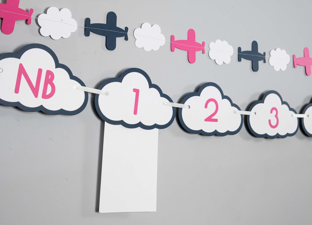 Monthly Milestone Banner for a Time Flies First Birthday Party - 4x6 or ...