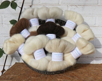 20 Sheep Breed Study Samples Combed Top Wool Fibre - Etsy