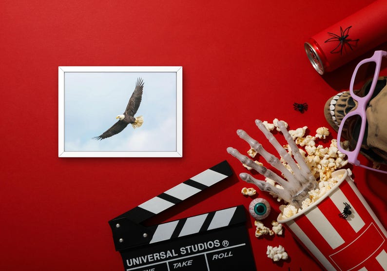 Digital Download: Bald Eagle in Flight Photo - Etsy
