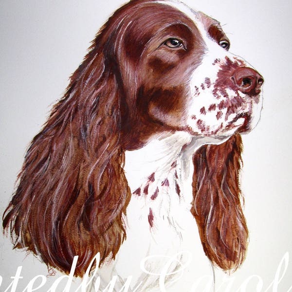 Springer Spaniel Art - Etsy