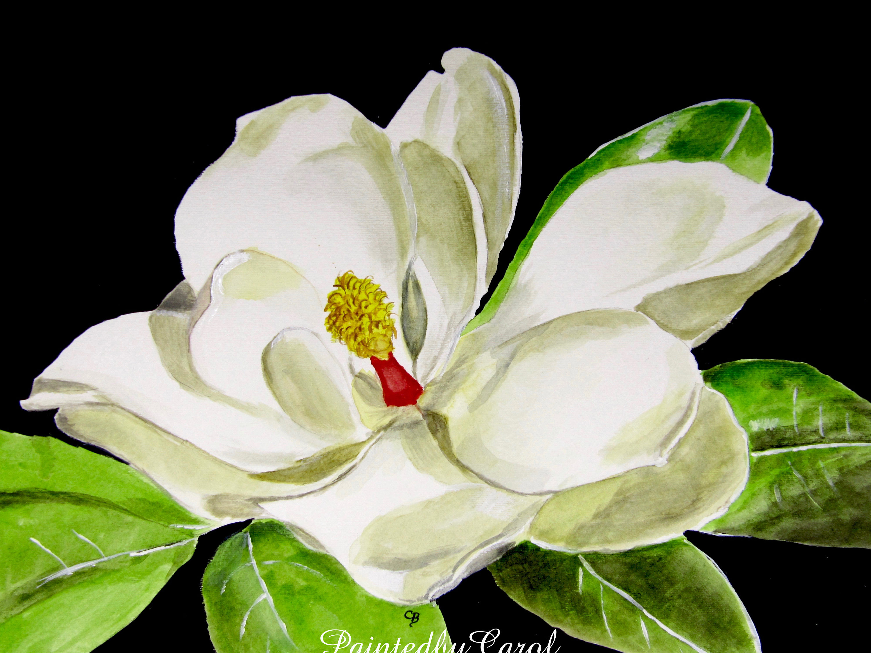 Magnolia Watercolor Painting
